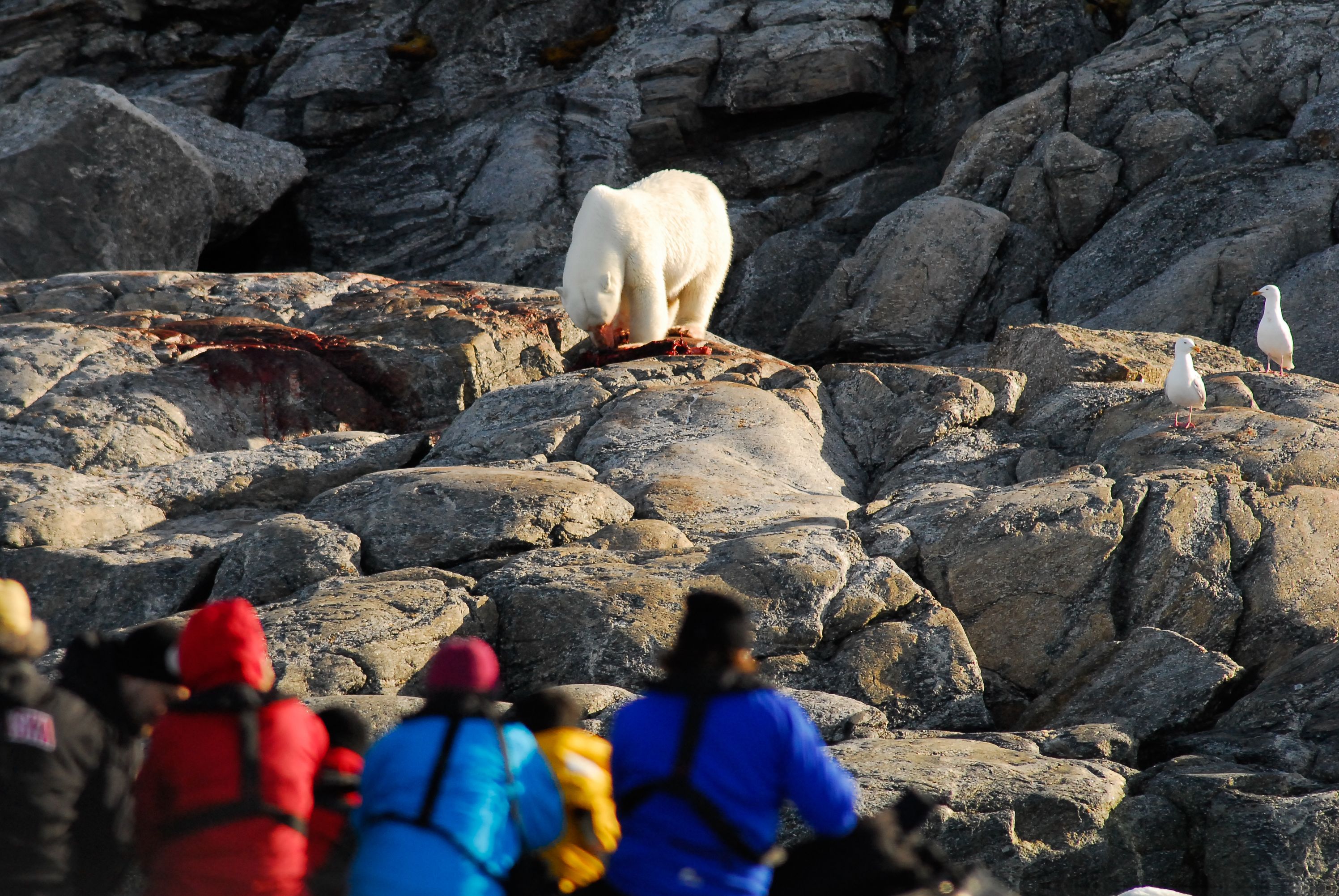 Development and Establishment of a Competency Centre for Arctic Field ...
