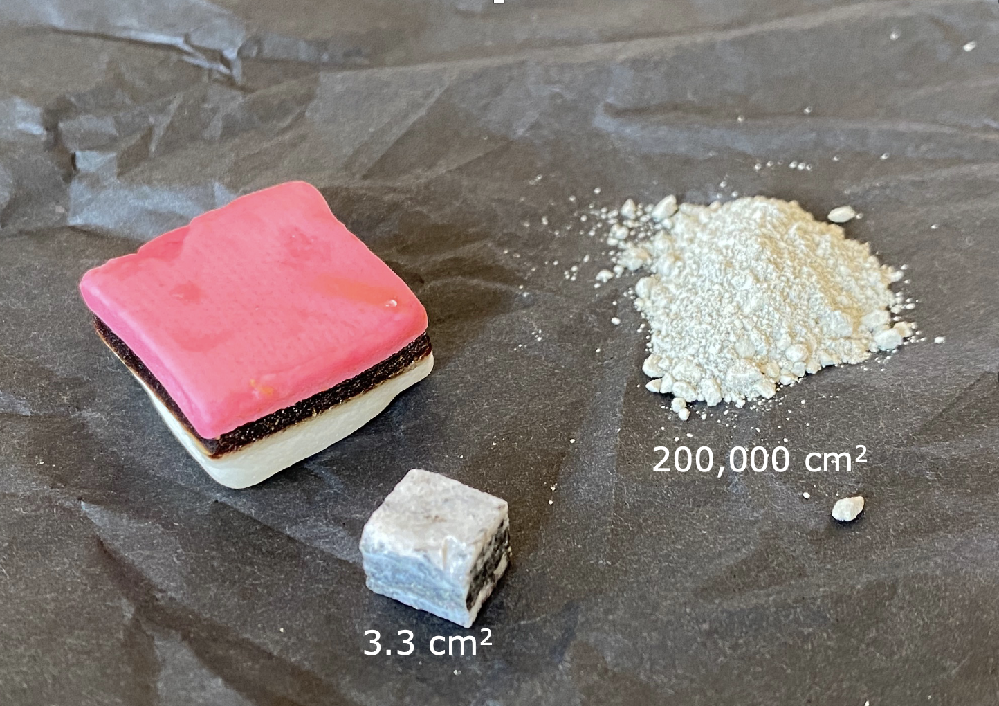 UArctic - University of the Arctic - 2023 Winner