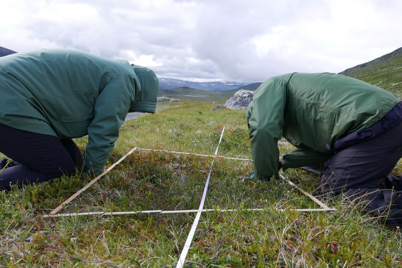 UArctic - University of the Arctic - Call for collaboration: Large ...