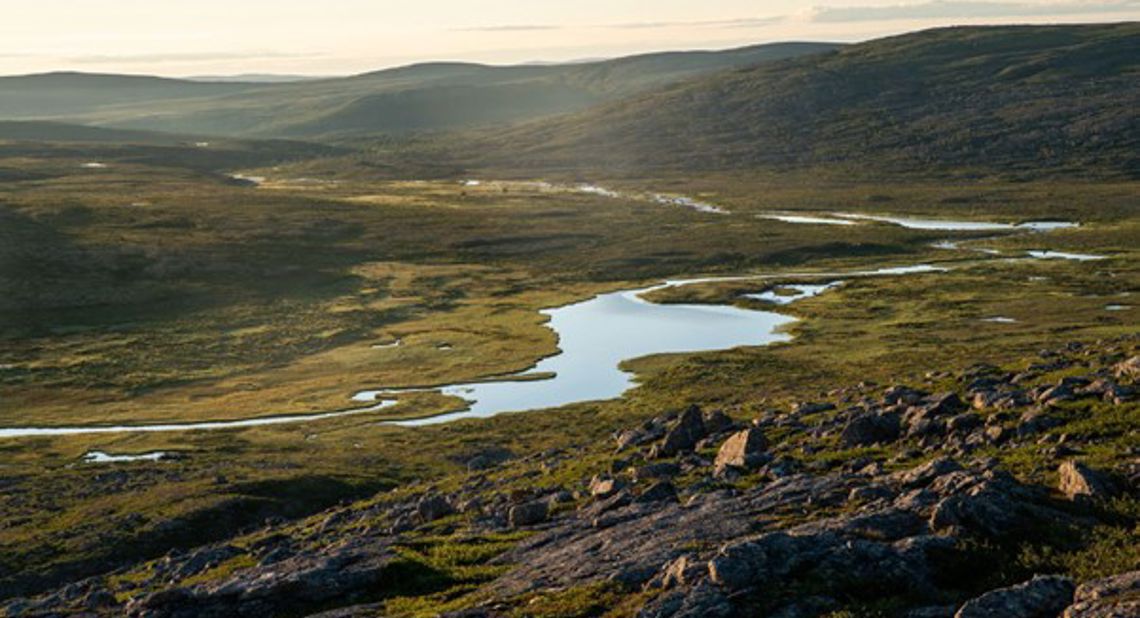 Terrestrial Biodiversity Monitoring