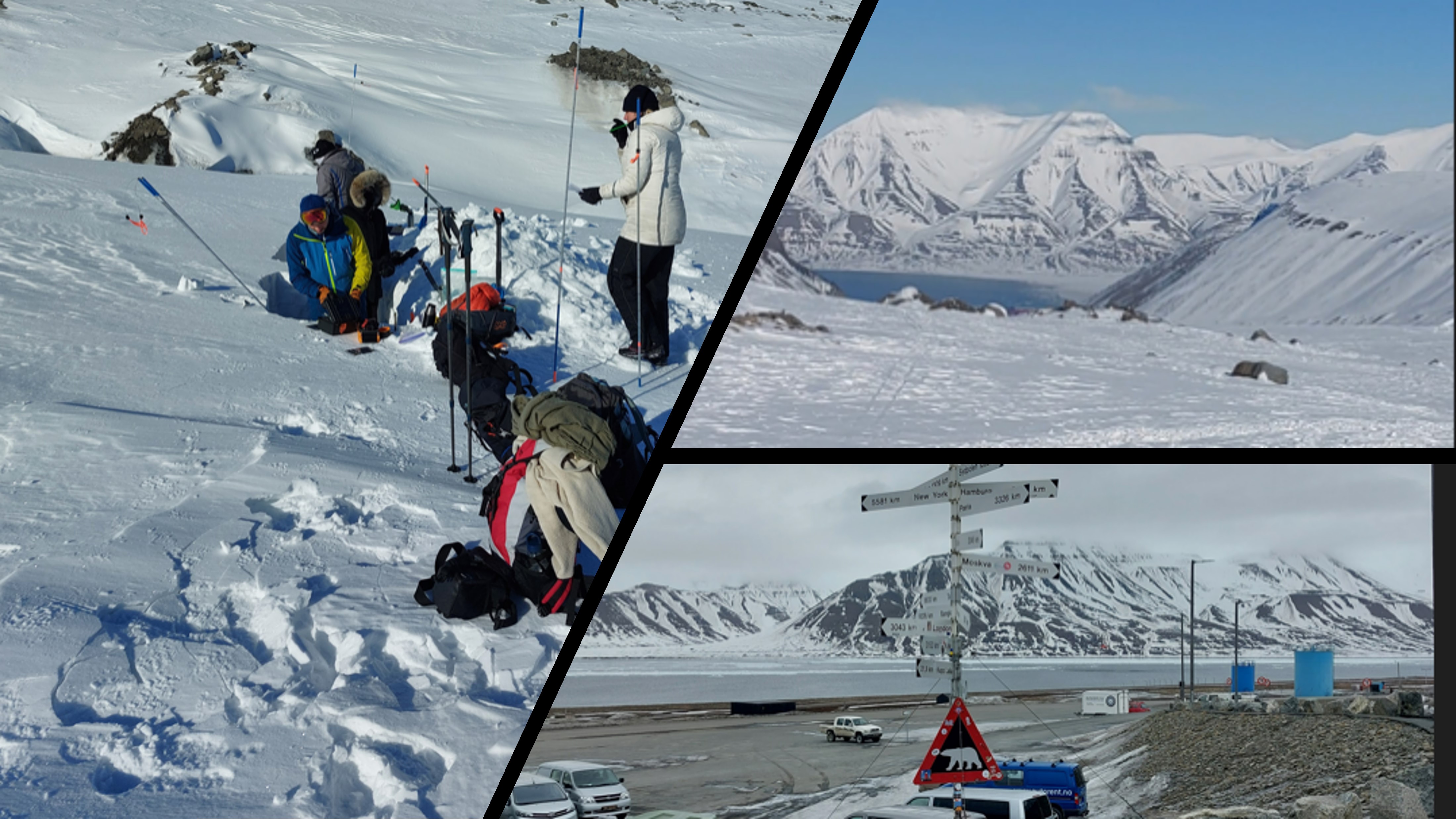 UArctic - University of the Arctic - Thematic Network on Nordic Snow ...