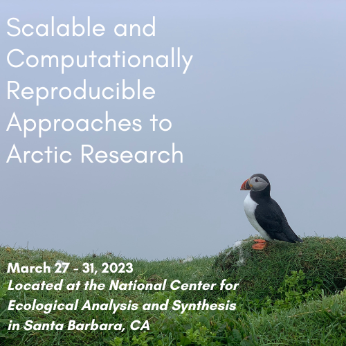 Scalable And Computationally Reproducible Approaches To Arctic Research