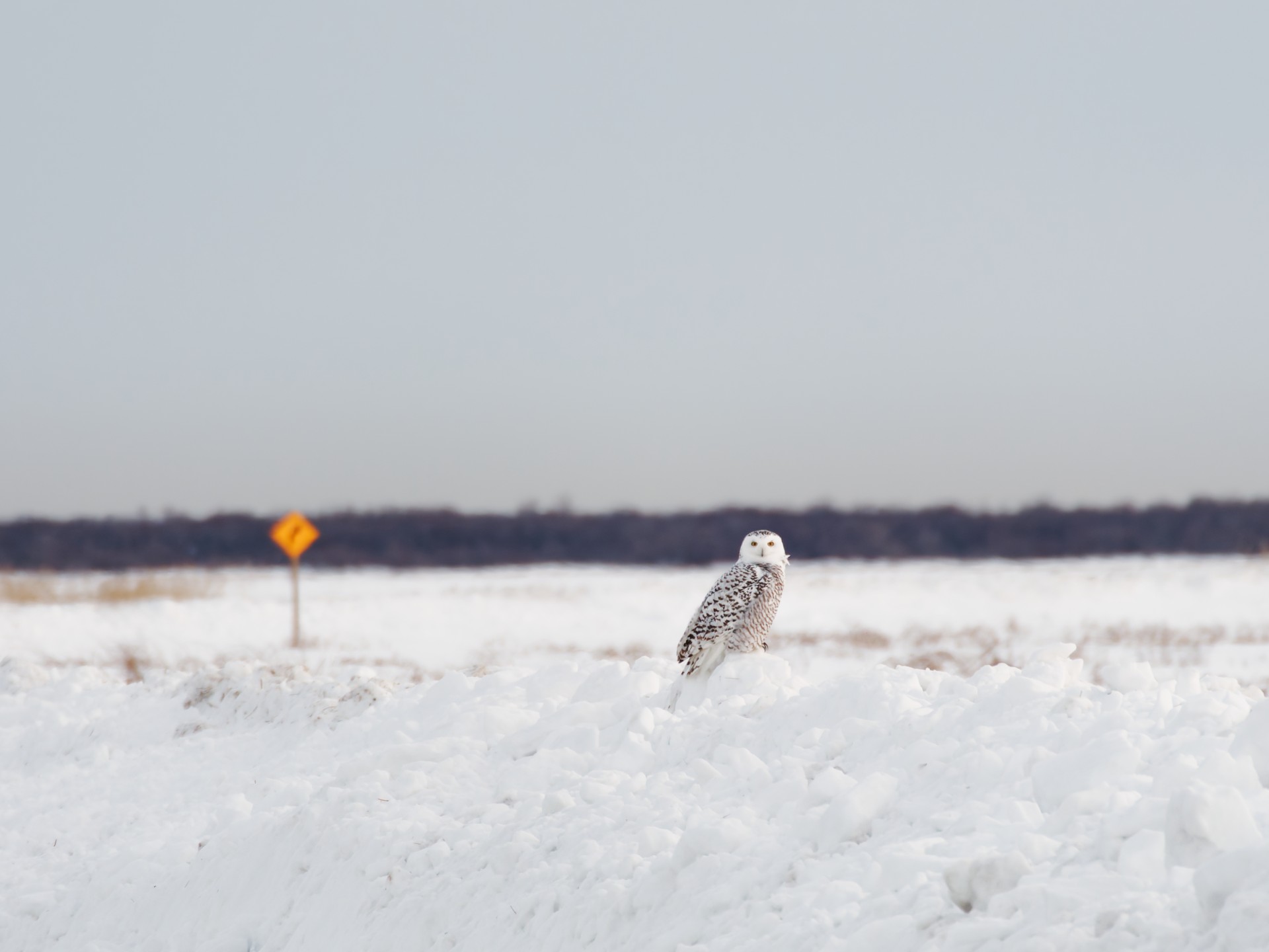 It is Time to Research the Needs of Rural, Remote and Northern ...